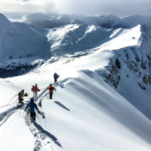 Mount Selwyn Skiing: Backcountry, Off-Piste, Freeride Tours